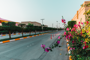 ABOUT US - ISHBILIA RESIDENTIAL COMPOUND